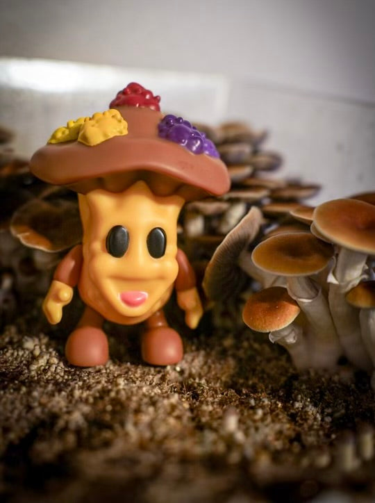 Nuggies Collectibles